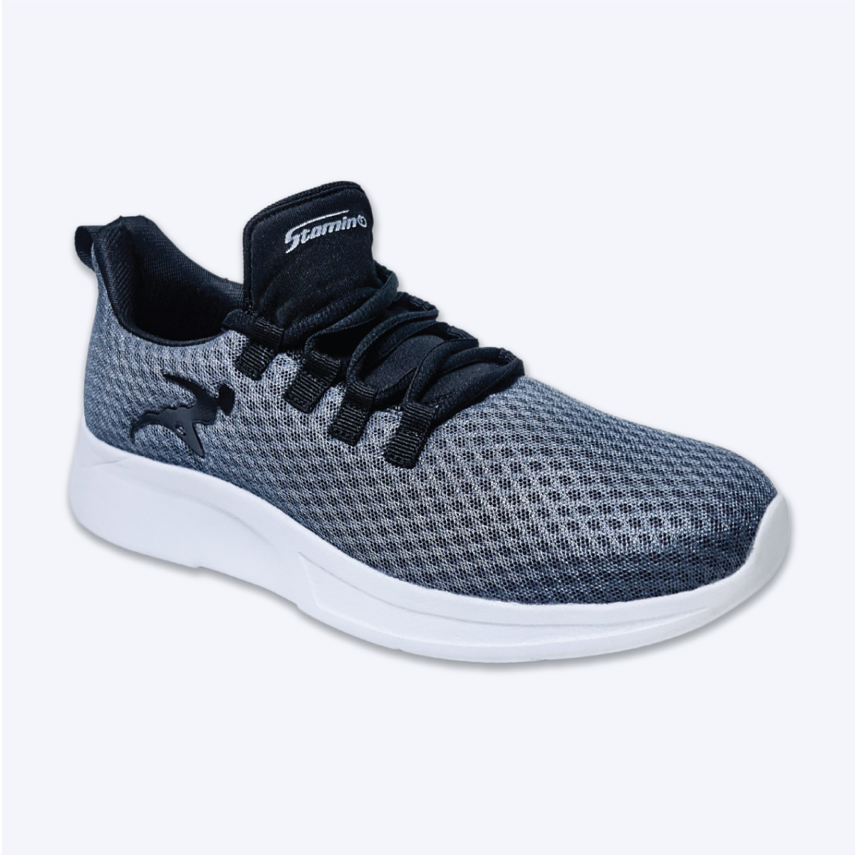 Orion Footwear Limited